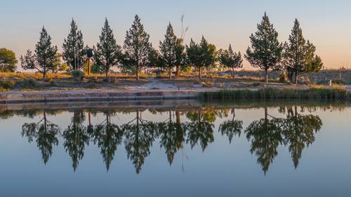 Oasis State Park - The Roosevelt Review